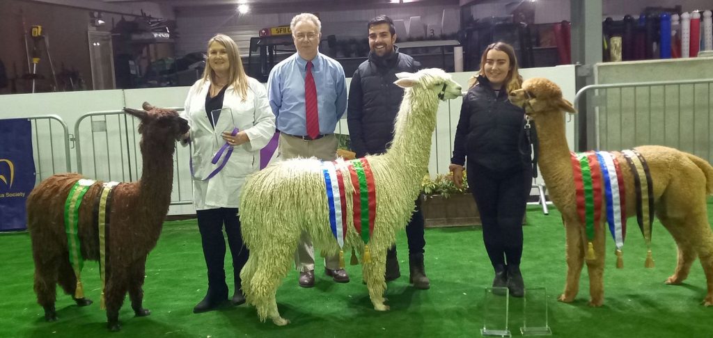 Eastern Alpaca Group – Working for Alpaca owners across East Anglia