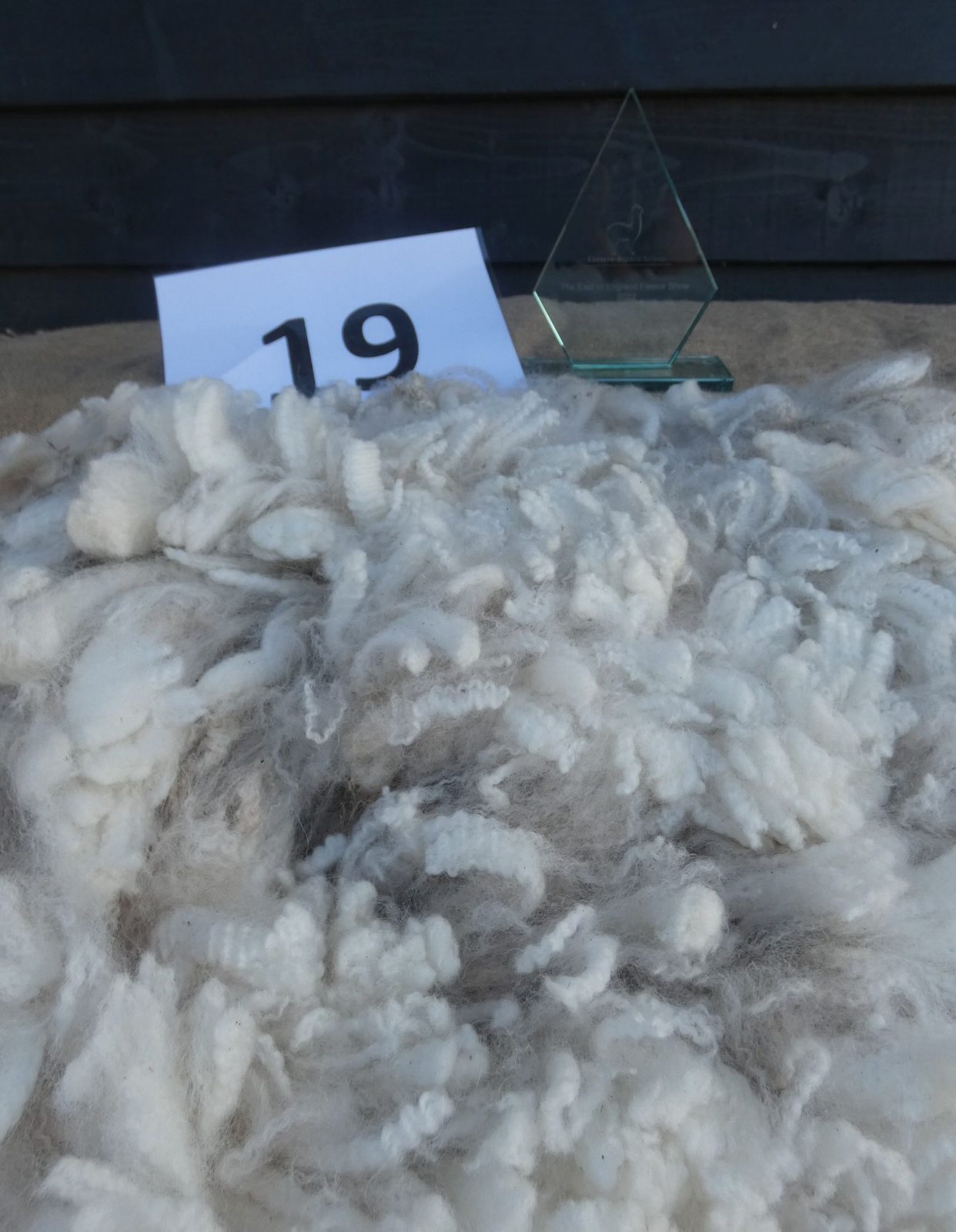 Events – Eastern Alpaca Group